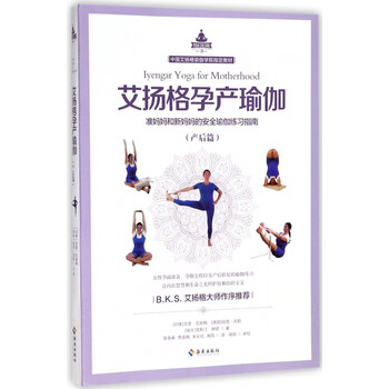艾扬格孕产瑜伽(产后篇中国艾扬格瑜伽学院教材)