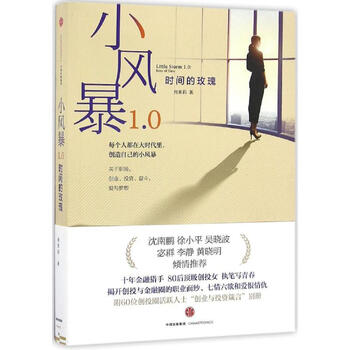 小风暴1.0 肖茉莉  书籍