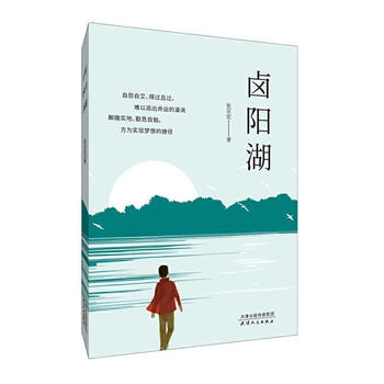 卤阳湖 张京宏 天津人民出版社