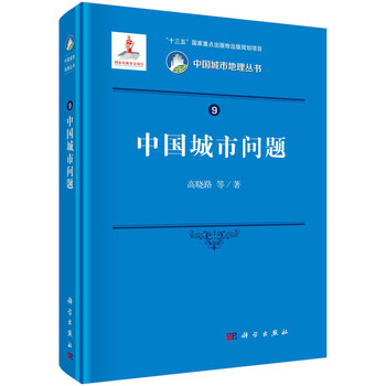 中国城市问题/高晓路
