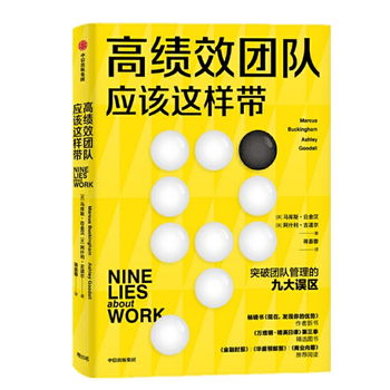 高绩效团队应该这样带 中信出版社