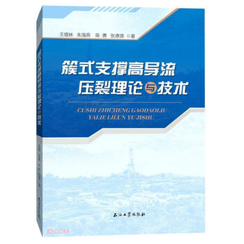 簇式支撑高导流压裂理论与技术
