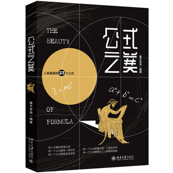 公式之美 北京大学出版社