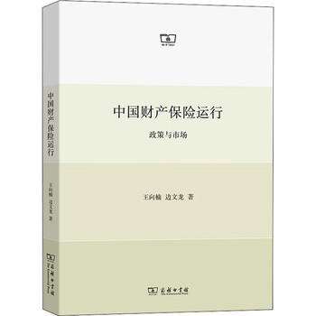 中国财产保险运行 政策与市场王向楠,边文龙