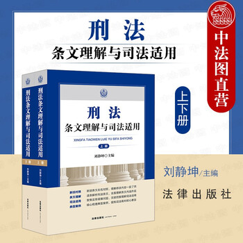 2021刑法条文理解与司法适用上下册 根据刑法修正案十一确定罪名补充规定七修改 条文解读司法裁判要旨