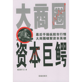 大商圈 资本巨鳄