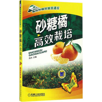 砂糖橘高效栽培 陈杰 主编 作 书籍