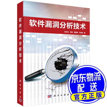 软件漏洞分析技术