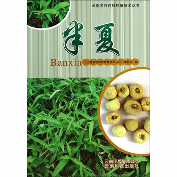 半夏 《云南名特药材种植技术丛书》编委会 编 书籍