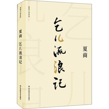 乞儿流浪记