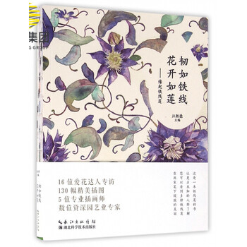 韧如铁线花开如莲--缘起铁线莲
