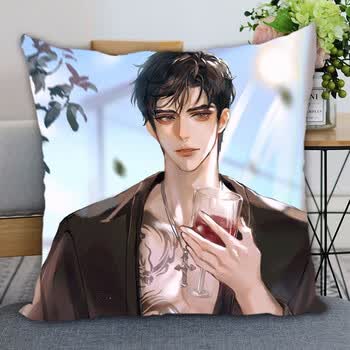 粉丝福利双面抱枕40cm*40cm 由苍顾行正版授权 抱枕