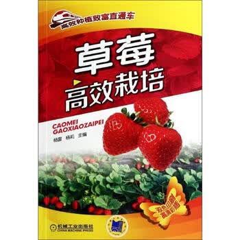 草莓高效栽培 杨雷,杨莉 编 书籍
