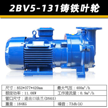 2BV水环式真空泵工业用5.5w/7.5w 高真空水循环真空泵不锈钢叶 2BV5-131铸铁叶轮-11W【图片 价格 品牌 报价】-京东