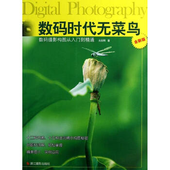 数码摄影构图从入门到精通 
