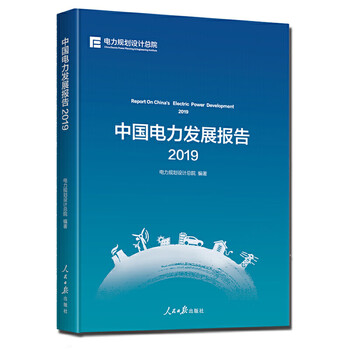 正版 中国电力发展报告20199787511564238