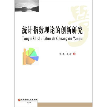 统计指数理论的创新研究 任栋,王琦  书籍