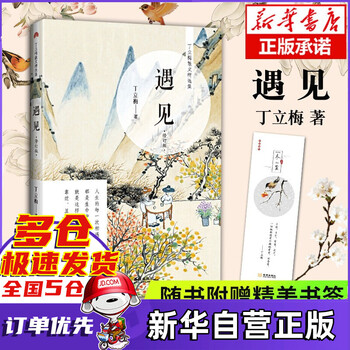 丁立梅经典作品全套 散文精选全集系列 可选 遇见(修订版)