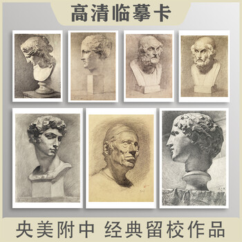 央美附中经典素描石膏像留校作品临摹世界名画册集明信卡片高清文创范本大小卫马赛荷马海盗伏尔泰阿格里巴维
