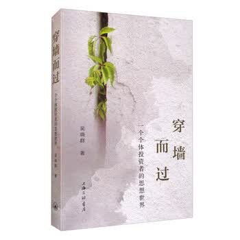 穿墙而过：一个个体投资者的思想世界