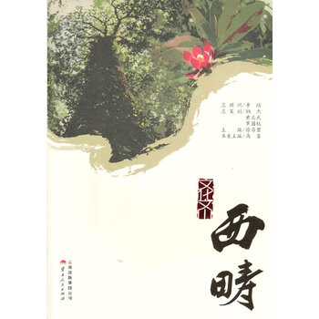 文化文山-西畴
