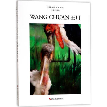 中国当代摄影图录王川