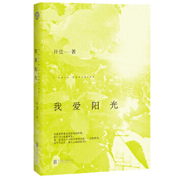 我爱阳光 许佳 北京联合出版公司