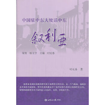 中国驻中东大使话中东:叙利亚 时延春