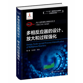 多相反应器的设计放大和过程强化(精)/化工过程强化关键技术丛书