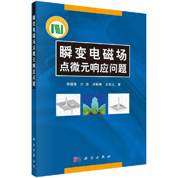 瞬变电磁场点微元响应问题
