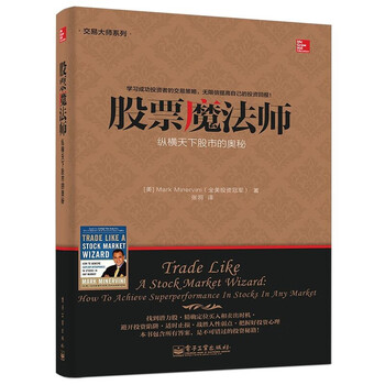 股票魔法师：纵横天下股市的奥秘(博文视点出品)