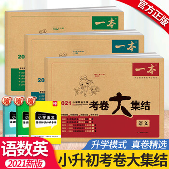 2021小学毕业升学考卷大集结语文数学英语模拟卷小升初知识真题卷