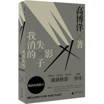 我消失的影子 高博洋 广西师范大学出版社