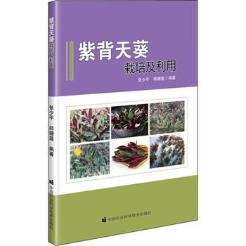 紫背天葵栽培及利用