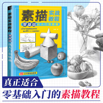 素描实战教程 零基础从入门到精通 素描书入门教材 飞乐鸟 画画自学基础教程 石膏头像静物几何体结构绘
