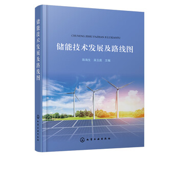 储能技术发展及路线图