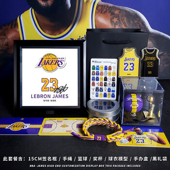 科比库里手办篮球小饰品库里9詹姆斯周边创意摆件生日送男生圣诞节礼物 詹姆斯总冠军（签名框）