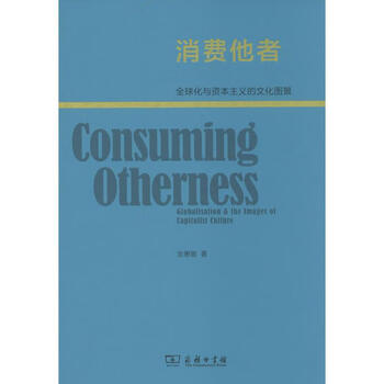 消费他者 金惠敏  书籍