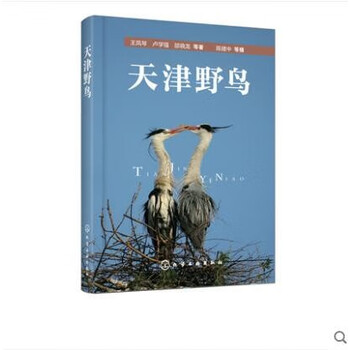 天津野鸟 常见野鸟图鉴 鸟类生态图片大全 带鸟名科普读物