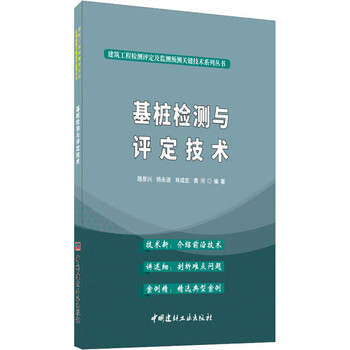 基桩检测与评定技术 路彦兴 等 编 书籍