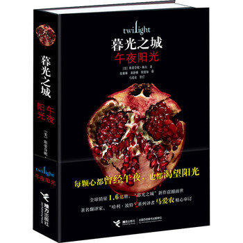 午夜阳光 图书