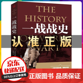 一战战史 书籍
