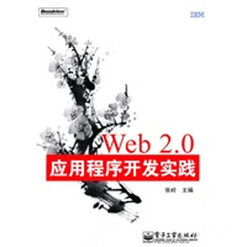Web 2 0应用程序开发实践【正版图书】