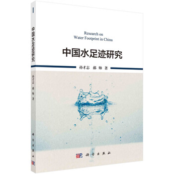中国水足迹研究