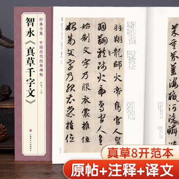 智永《真草千字文》楷书字帖中国历代名家碑帖原方法版行书小草书临摹毛笔书法真的墨迹美术正版书籍 杨建飞