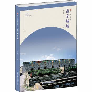 南京城墙 杨国庆  书籍