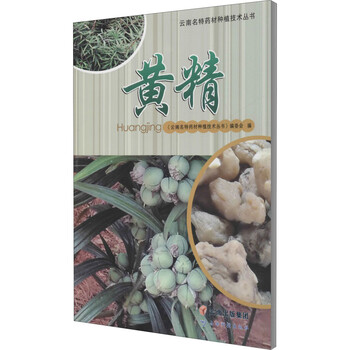 黄精 《云南名特药材种植技术丛书》编委会 编 书籍