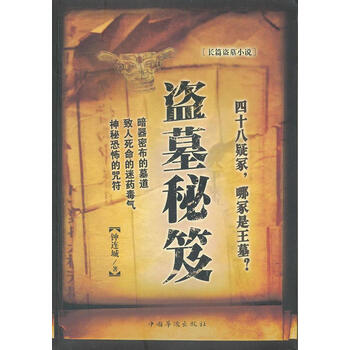 盗墓秘笈 小说   图书