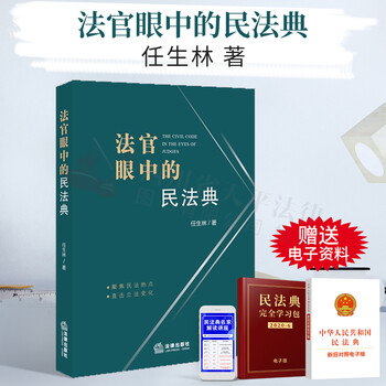 2021新书 法官眼中的民法典