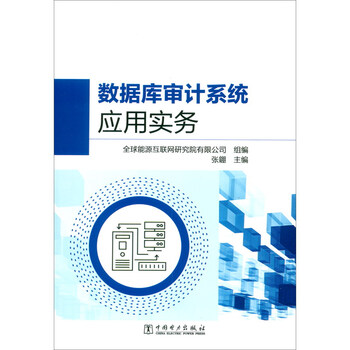 数据库审计系统应用实务